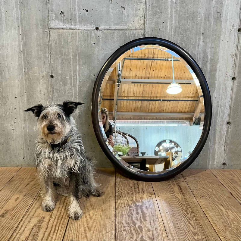 Antique Elliptical Frame Mirror with Beveled Glass – RT Facts
