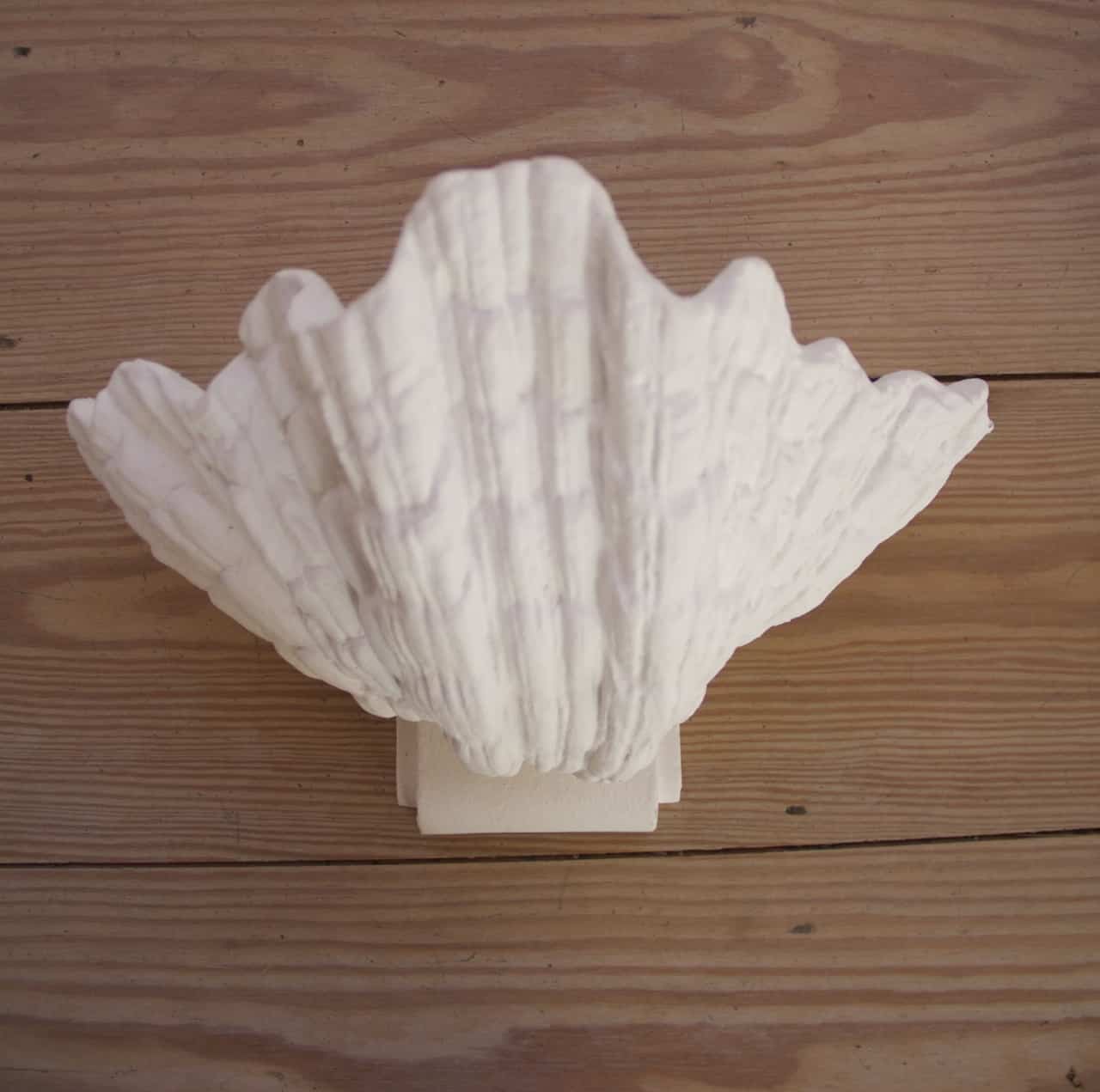 Shell Sconce – RT Facts