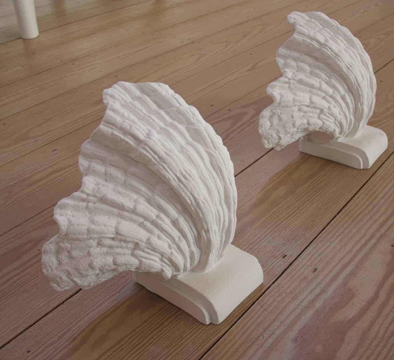 Shell Sconce – RT Facts