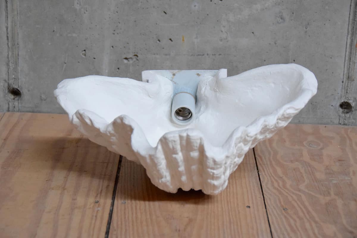 Shell Sconce – RT Facts