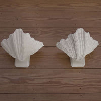Shell Sconce – RT Facts